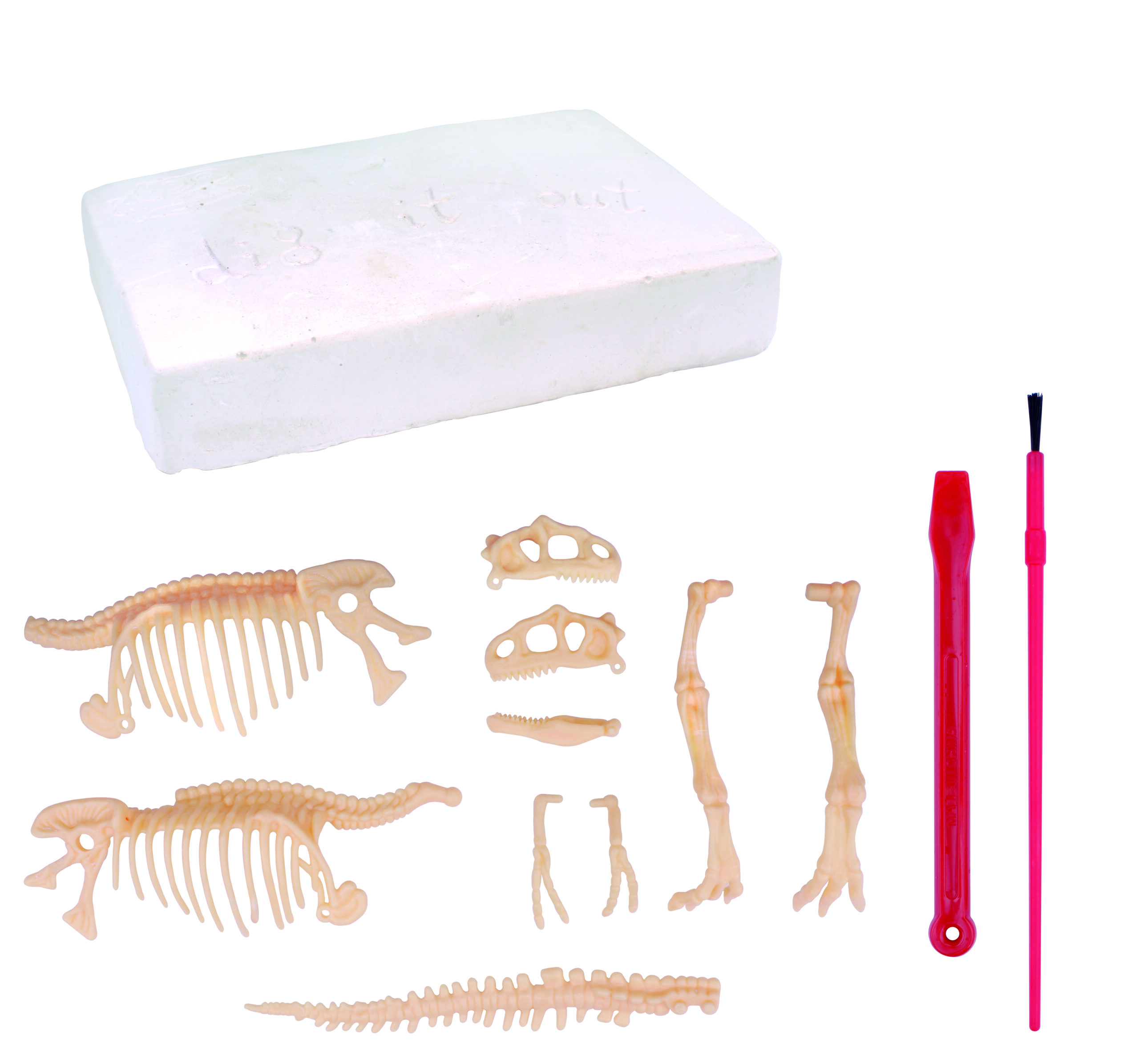 Grafix Dig fossil utgrävning Dinosaur + Skelett att bygga | Miixi.se